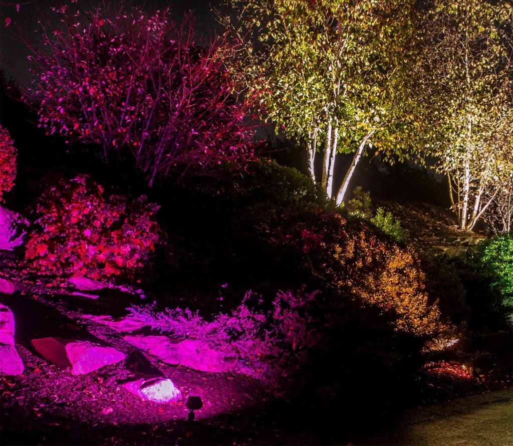 Residential Color-Changing Lighting | Northern Lighting